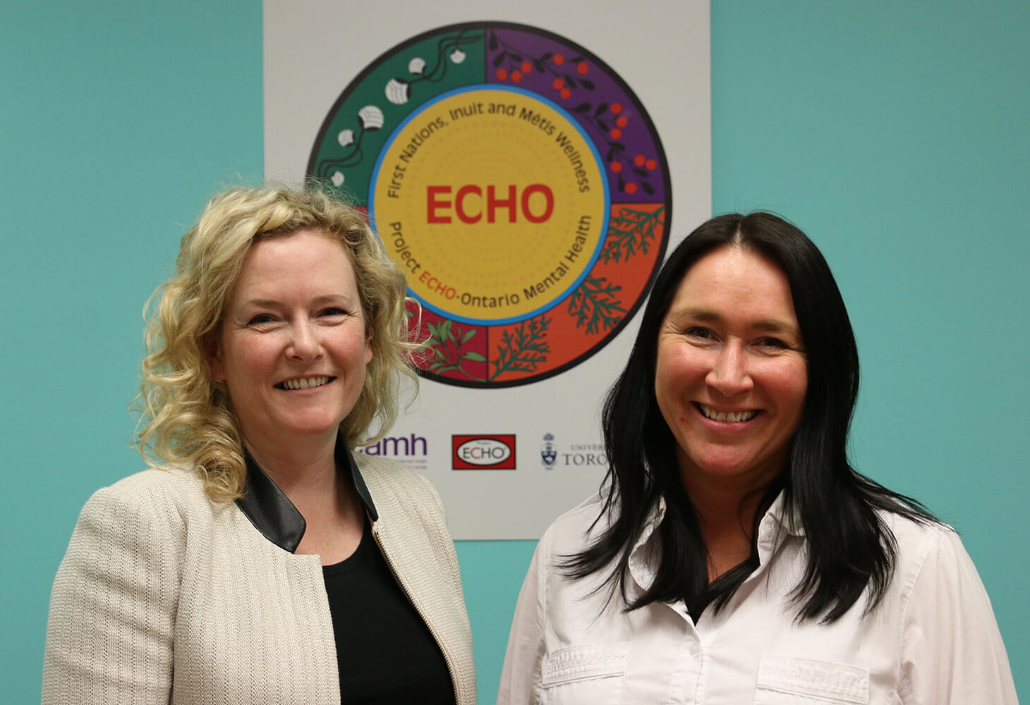 Education and Building System Capacity | CAMH